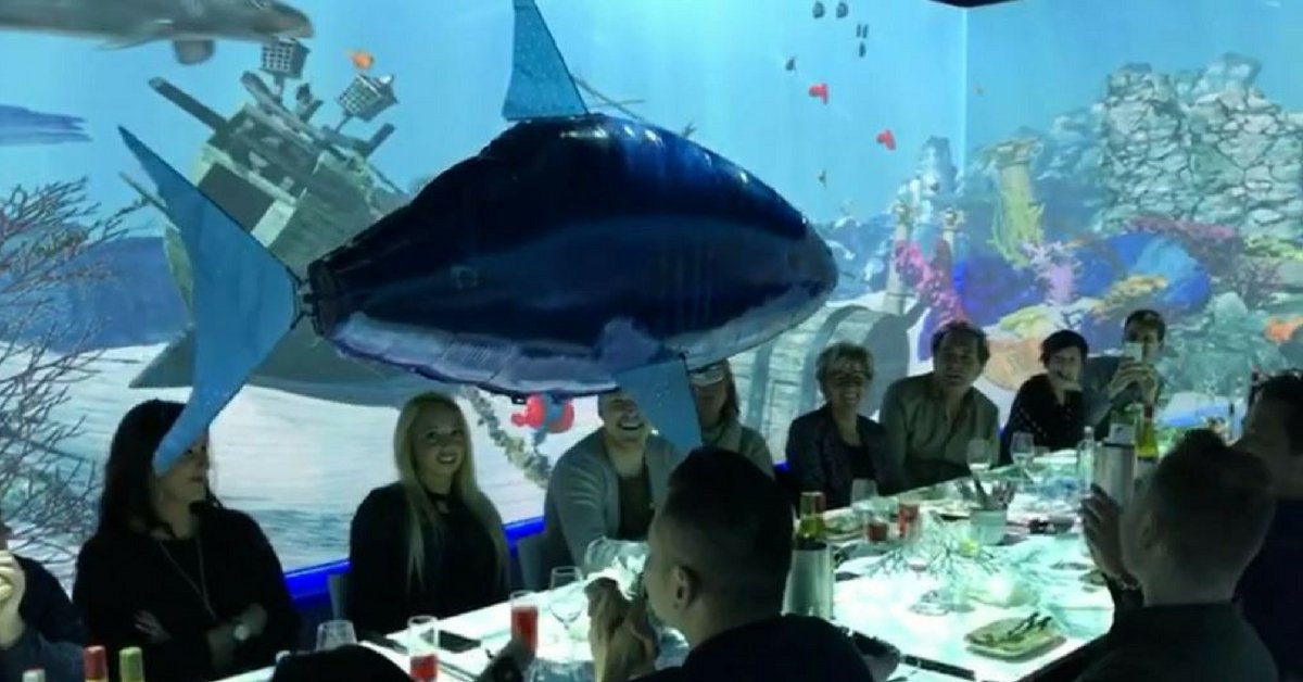 Restaurantformule Dinner in Motion in Piazza ... | PropertyNL